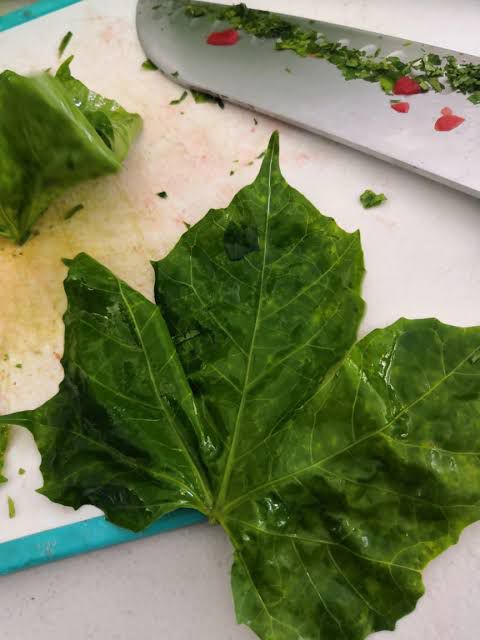 La chaya y sus propiedades - Integra Magazine