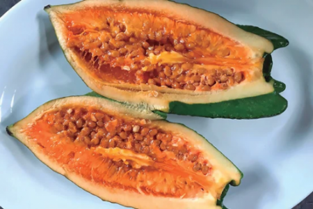 Gastronomía: rescatando ingredientes - Integra Magazine