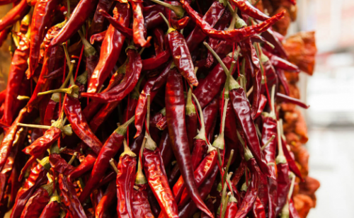 Gastronomía: rescatando ingredientes - Integra Magazine