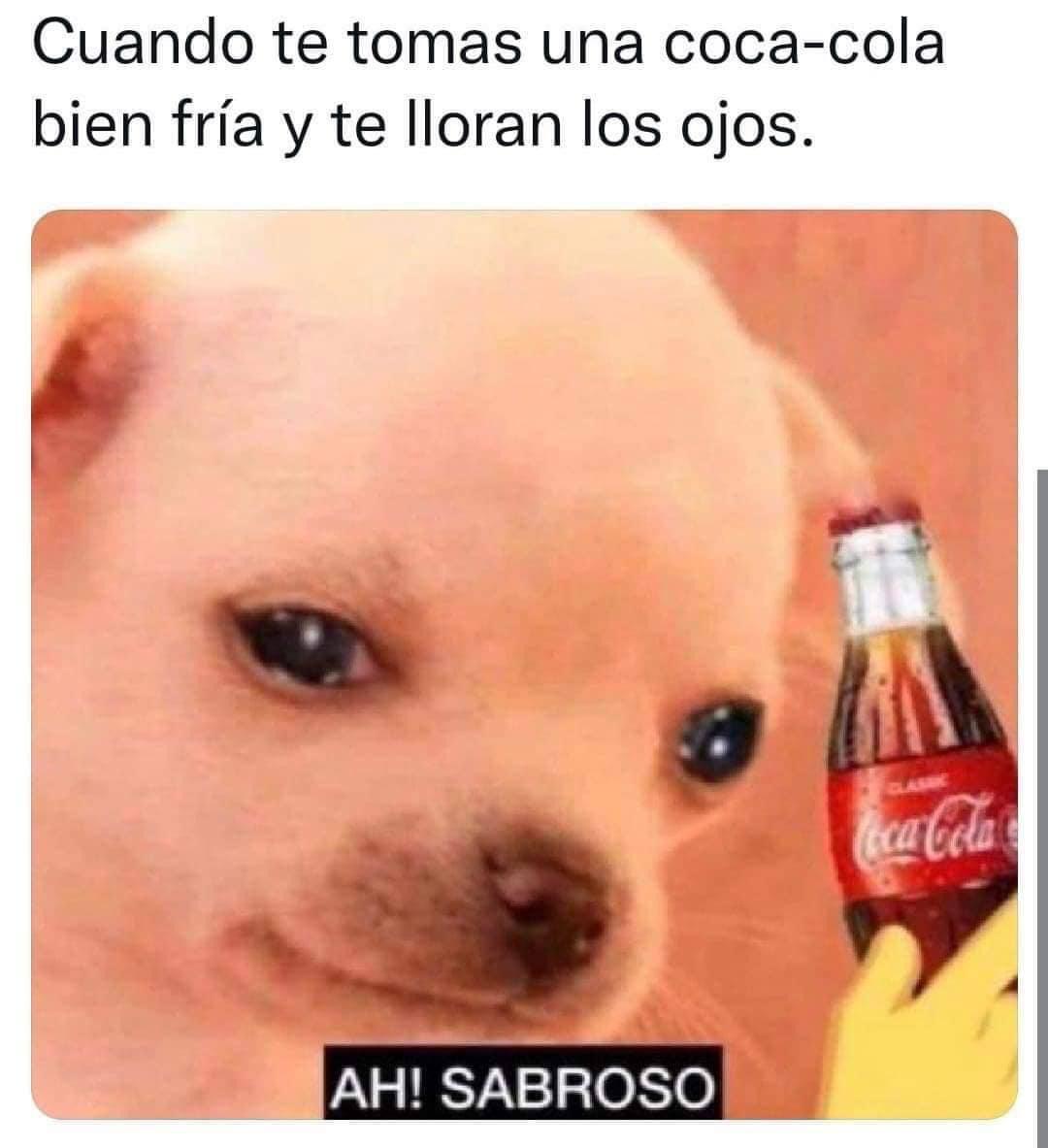 El meme marketing - Integra Magazine