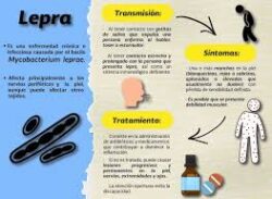 Domingo 29 de enero Día Mundial contra la Lepra