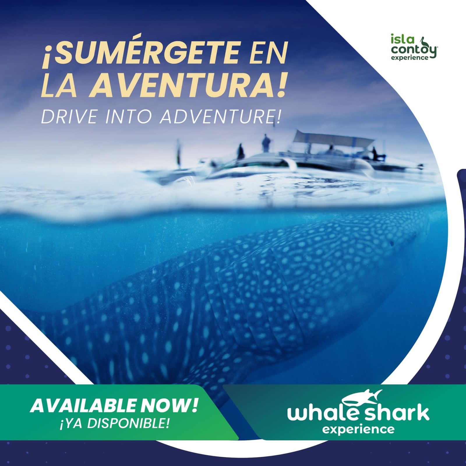 Isla Contoy Experience, Lanza Whale Shark Experience