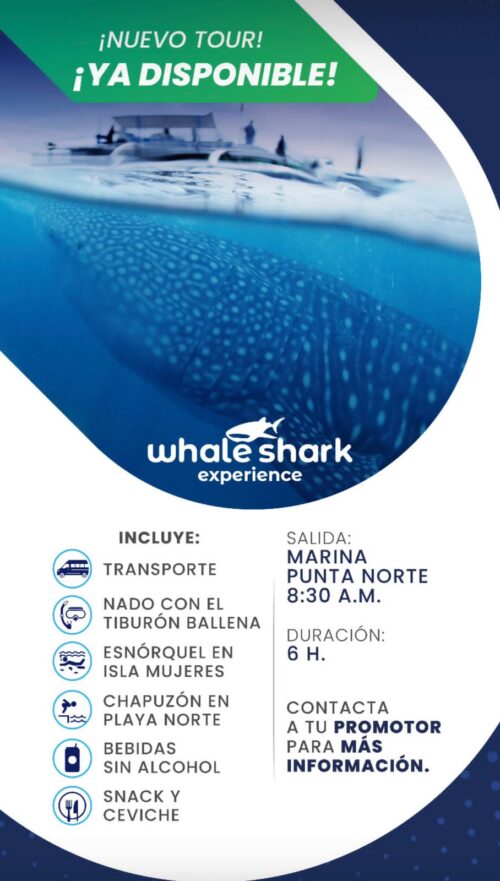 Isla Contoy Experience, Lanza Whale Shark Experience